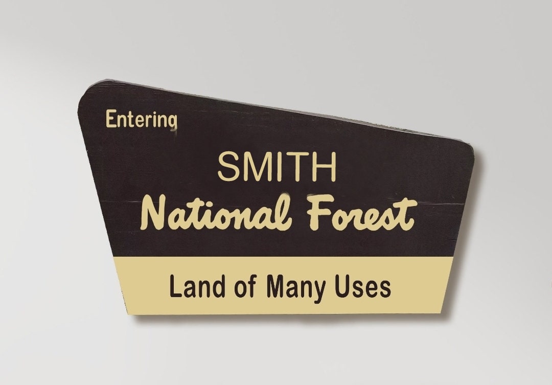 10 Personalized White Mountain National Forest Sign Hand Painted New ...