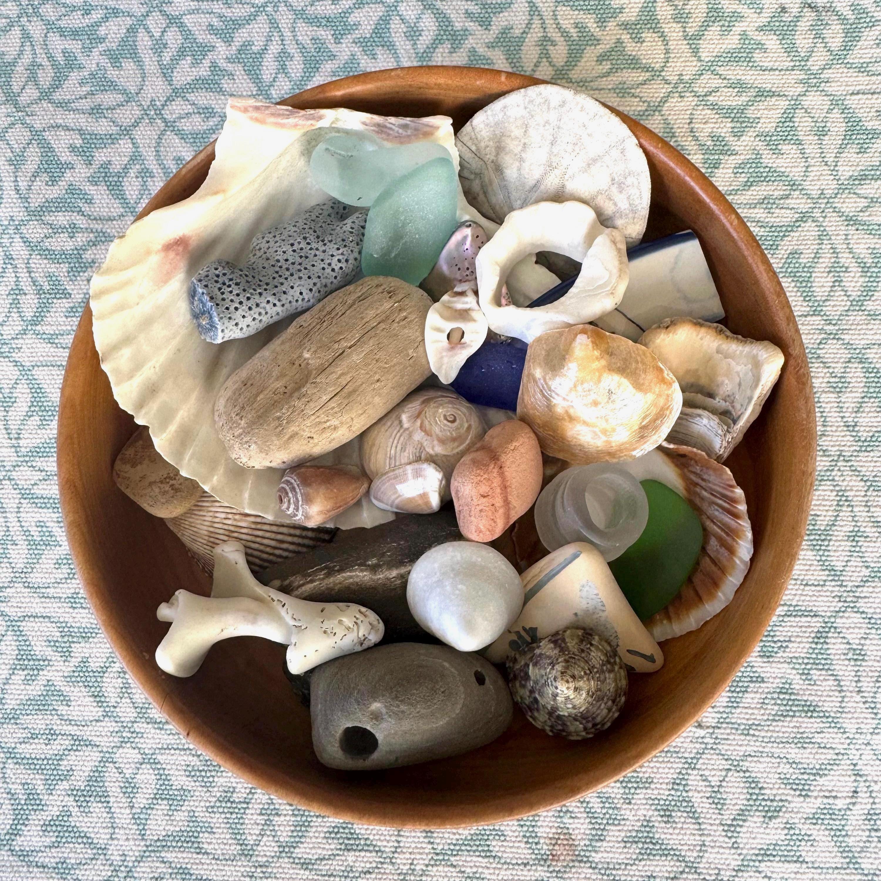 Beachcombing Collection / Sea Shells / Sea Glass / Blue Coral / Sea ...