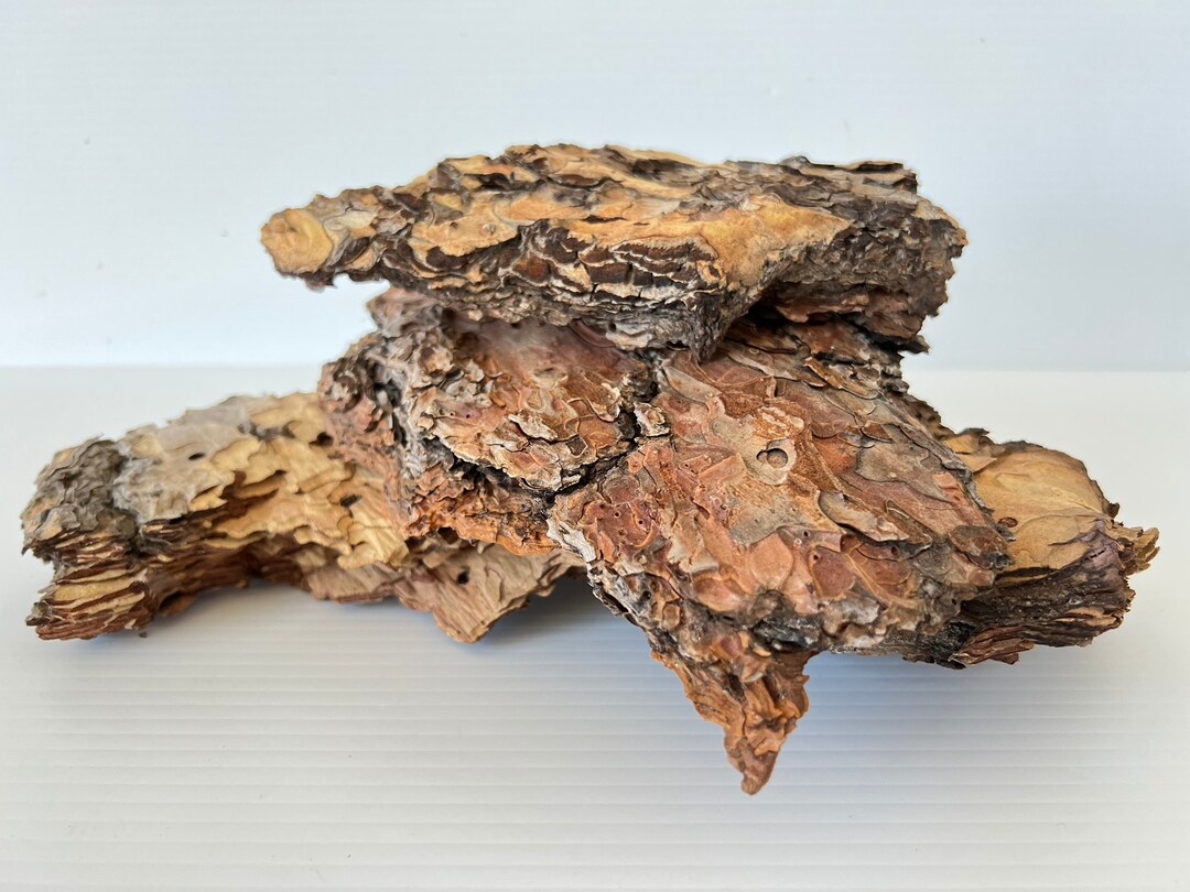 Real Tree Bark | Ponderosa Pine Bark | Bark Sheets | Fairy Gardens ...