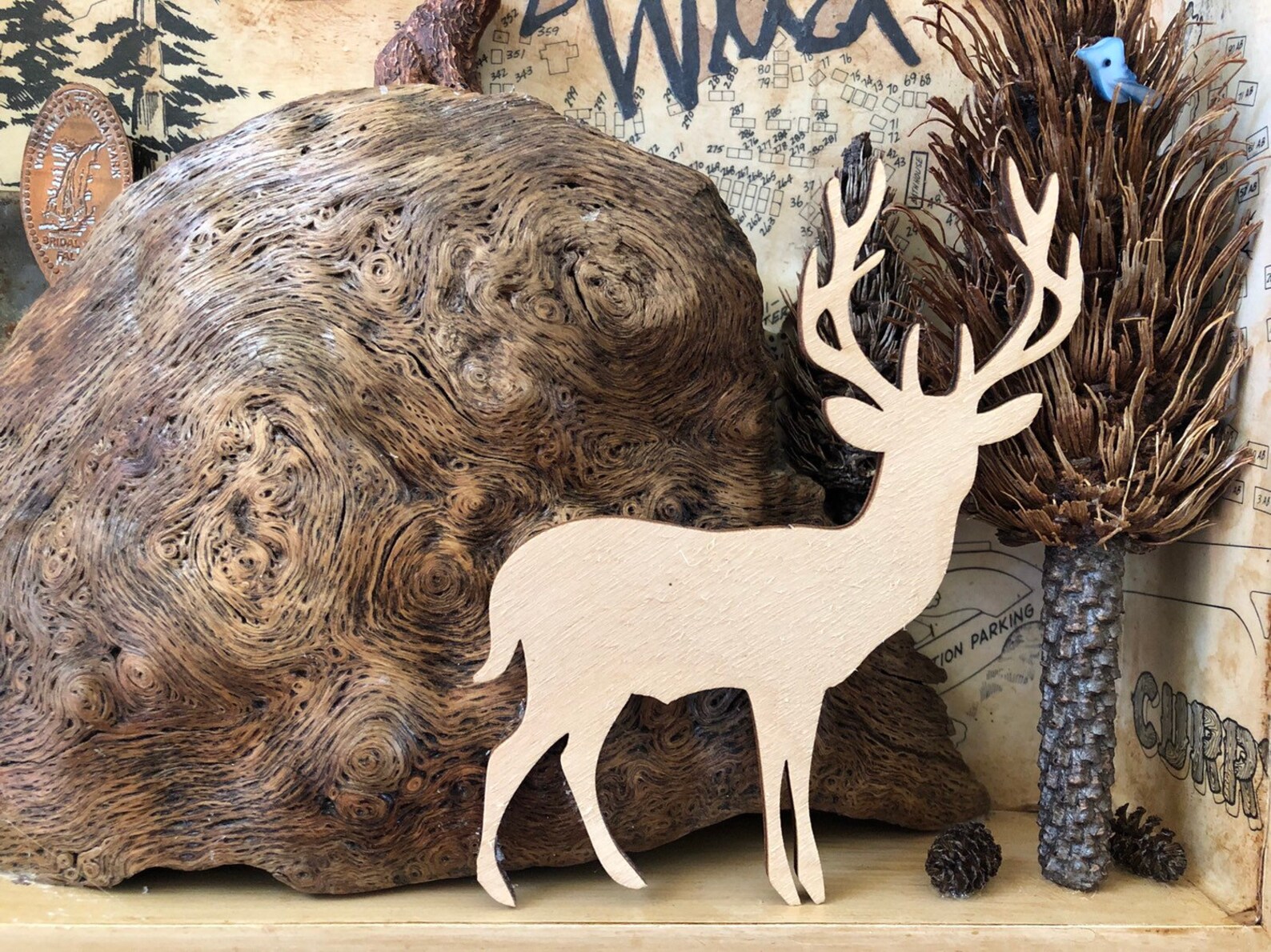 Art Assemblage Shadow Box/ Found Object Art/ Yosemite Camping Theme - Etsy