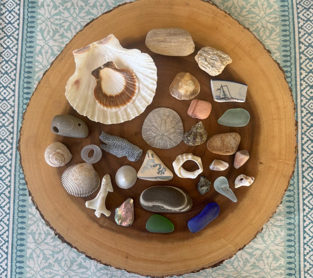 Beachcombing Collection / Sea Shells / Sea Glass / Blue Coral / Sea ...