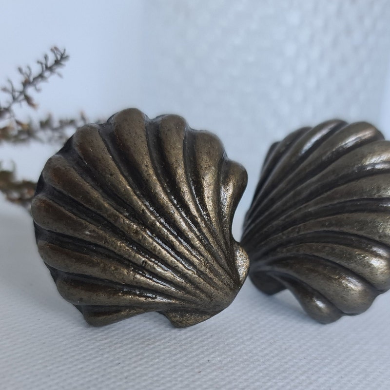 Seashell Knobs - Etsy