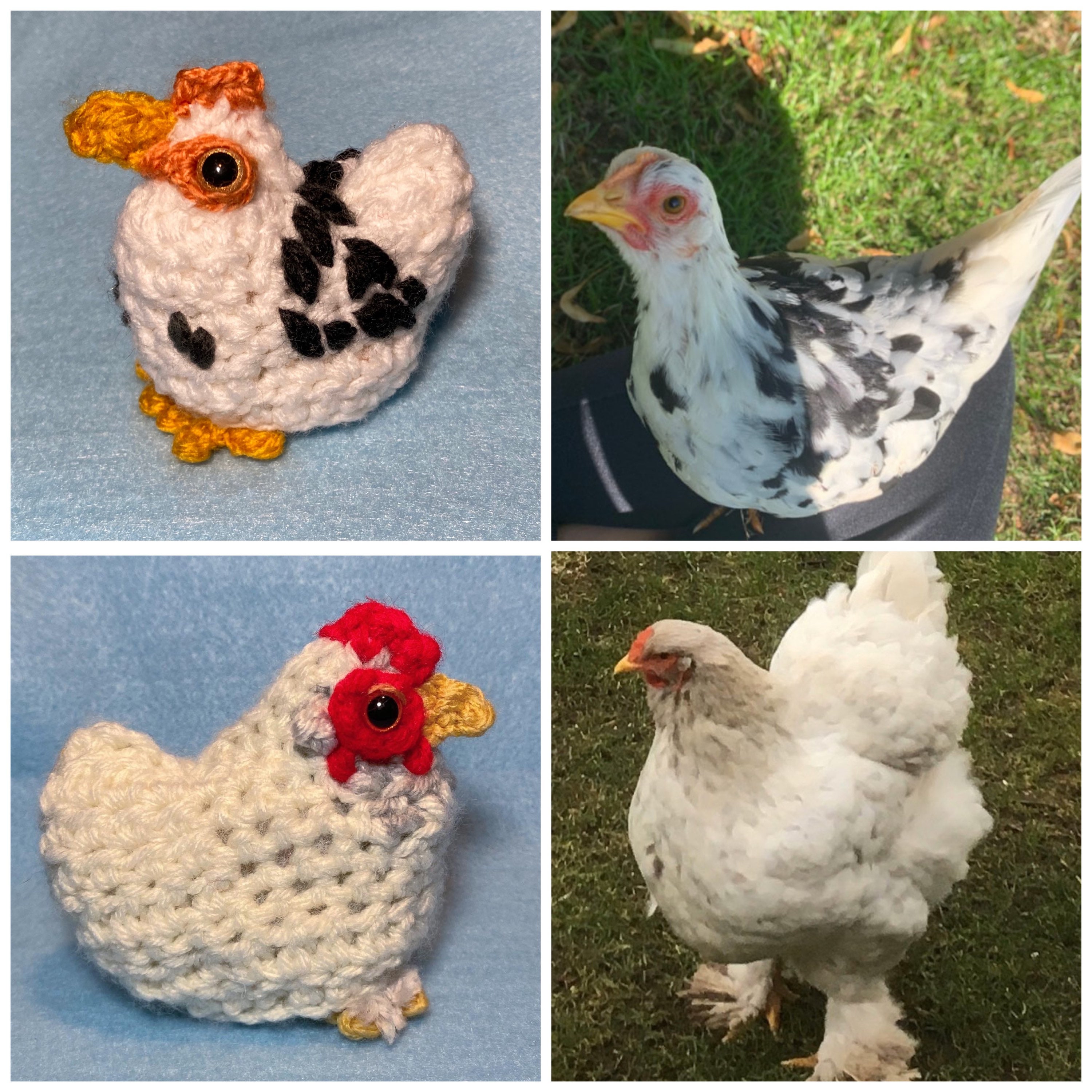 CUSTOM Crochet Chicken/hen/rooster made-to-order Amigurumi - Etsy