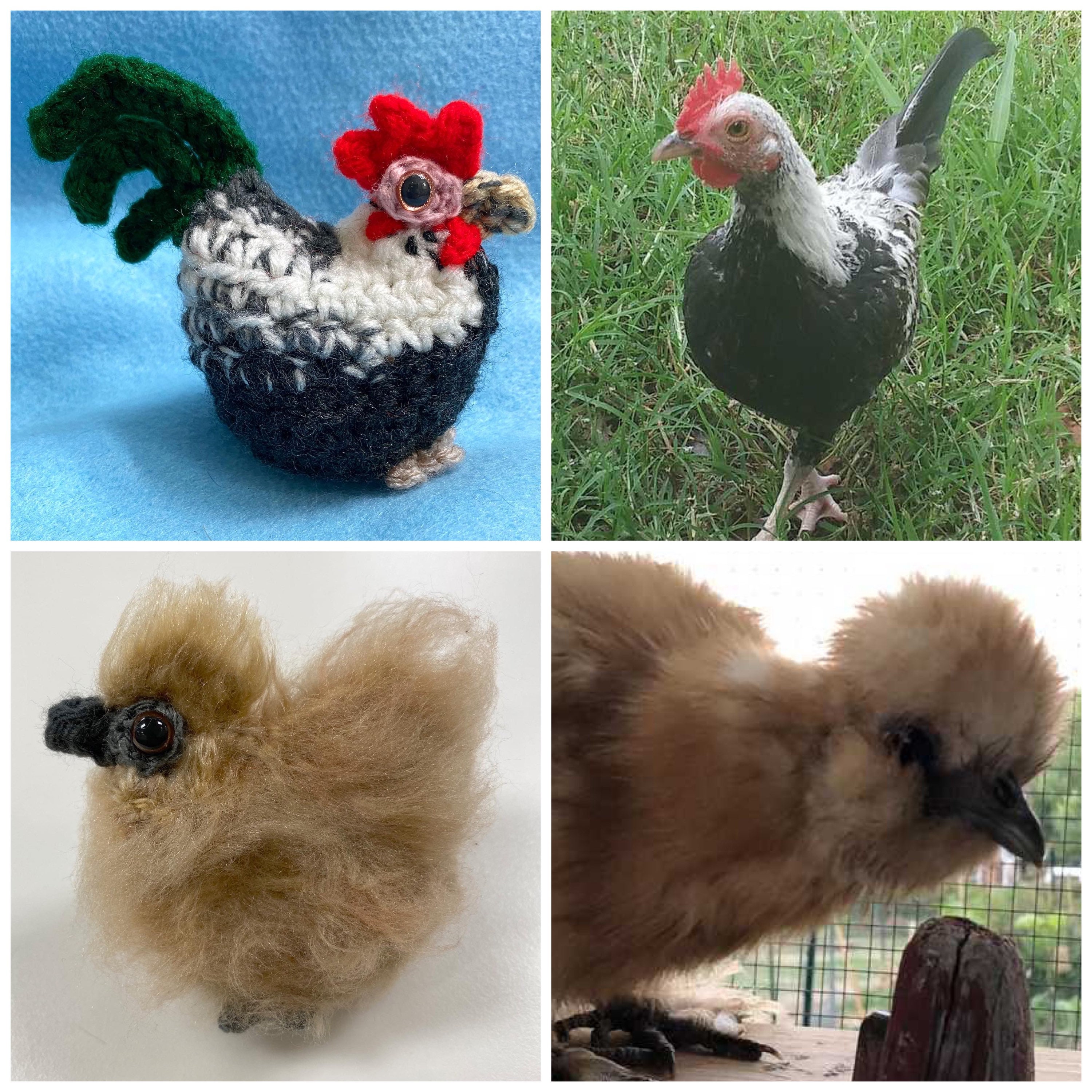 CUSTOM Crochet Chicken/hen/rooster made-to-order Amigurumi - Etsy