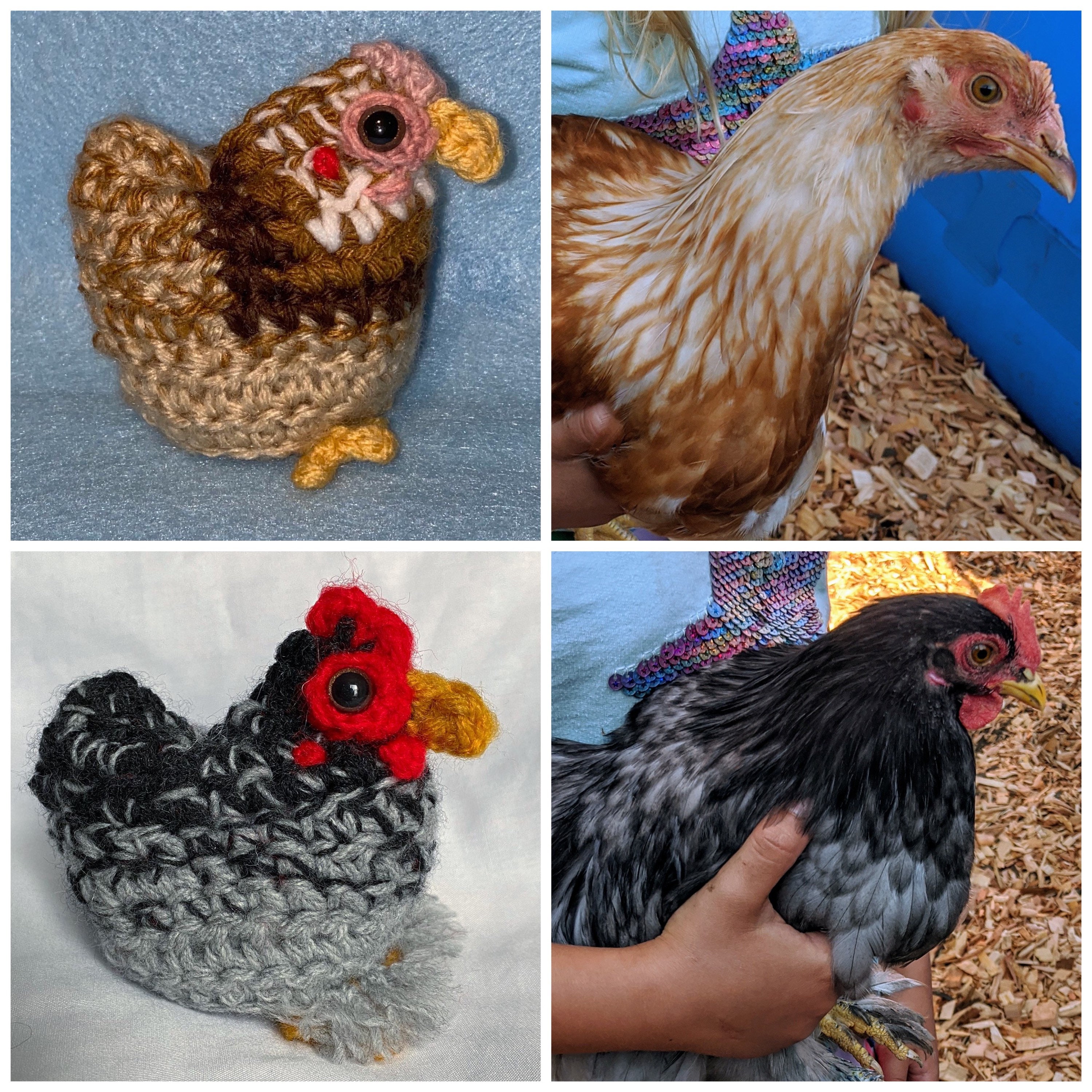 CUSTOM Crochet Chicken/hen/rooster made-to-order Amigurumi - Etsy