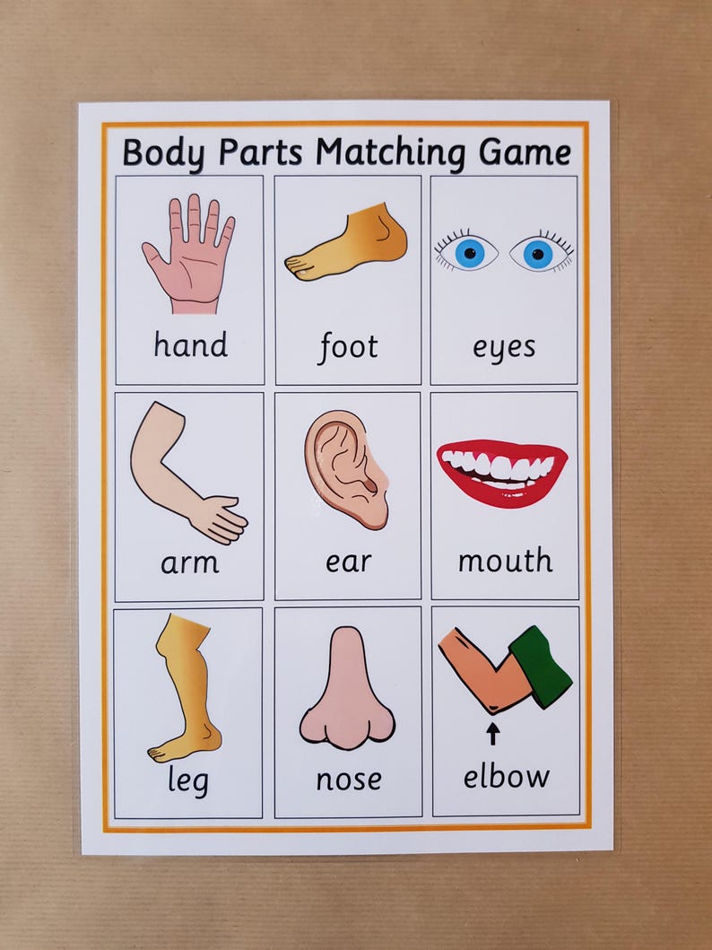 Body Parts Matching Game SEN Autism EYFS Early Learning - Etsy