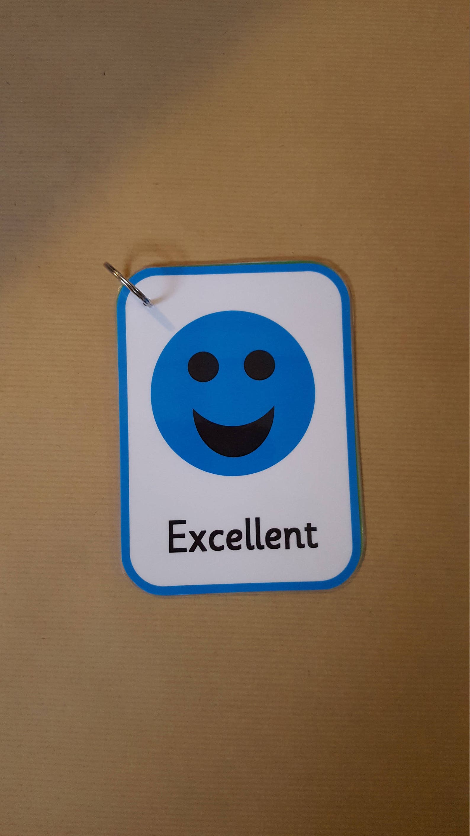Behaviour Cards, Traffic Light, Warning Cards, Non Verbal, ASD, Autism ...