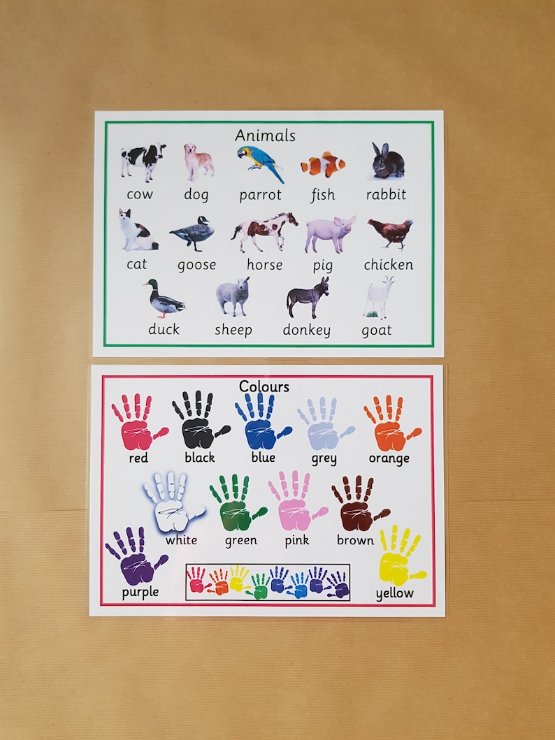 Educational Posters, Shapes, Numbers, Colours, Alphabet, Body Parts ...
