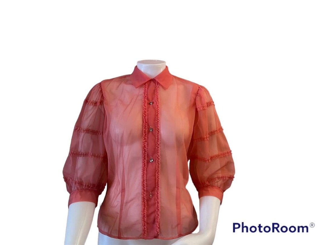 Vintage Sheer Nylon Blouse Salmon Pink Ruffle Front Ruffle Puff Sleeves ...