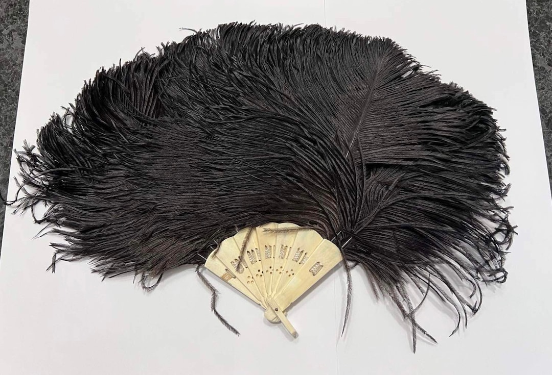 1920s Ostrich Feather Fan Black Antique Fan Display Burlesque Hand Fan ...