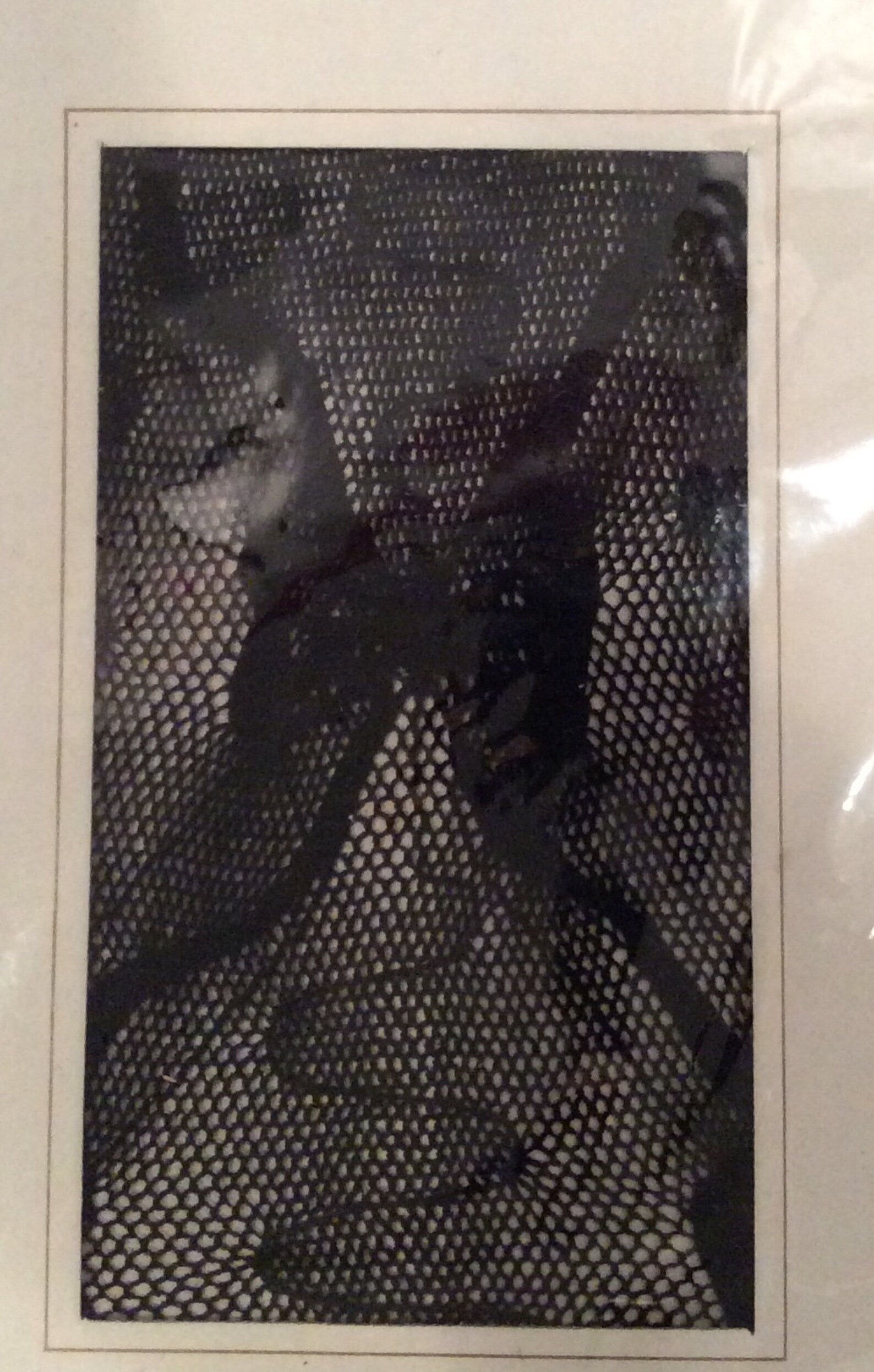 Black Body Stocking With Bows Angelina New in Package Fish Net - Etsy