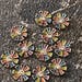 Rainbow Multi-colored Striped Flower - Rhinestone - Floating Memory ...