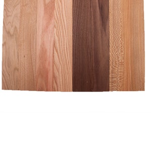 Domestic Exotic Variety Pack - Butternut, Coffee Nut, Walnut, Quarter ...