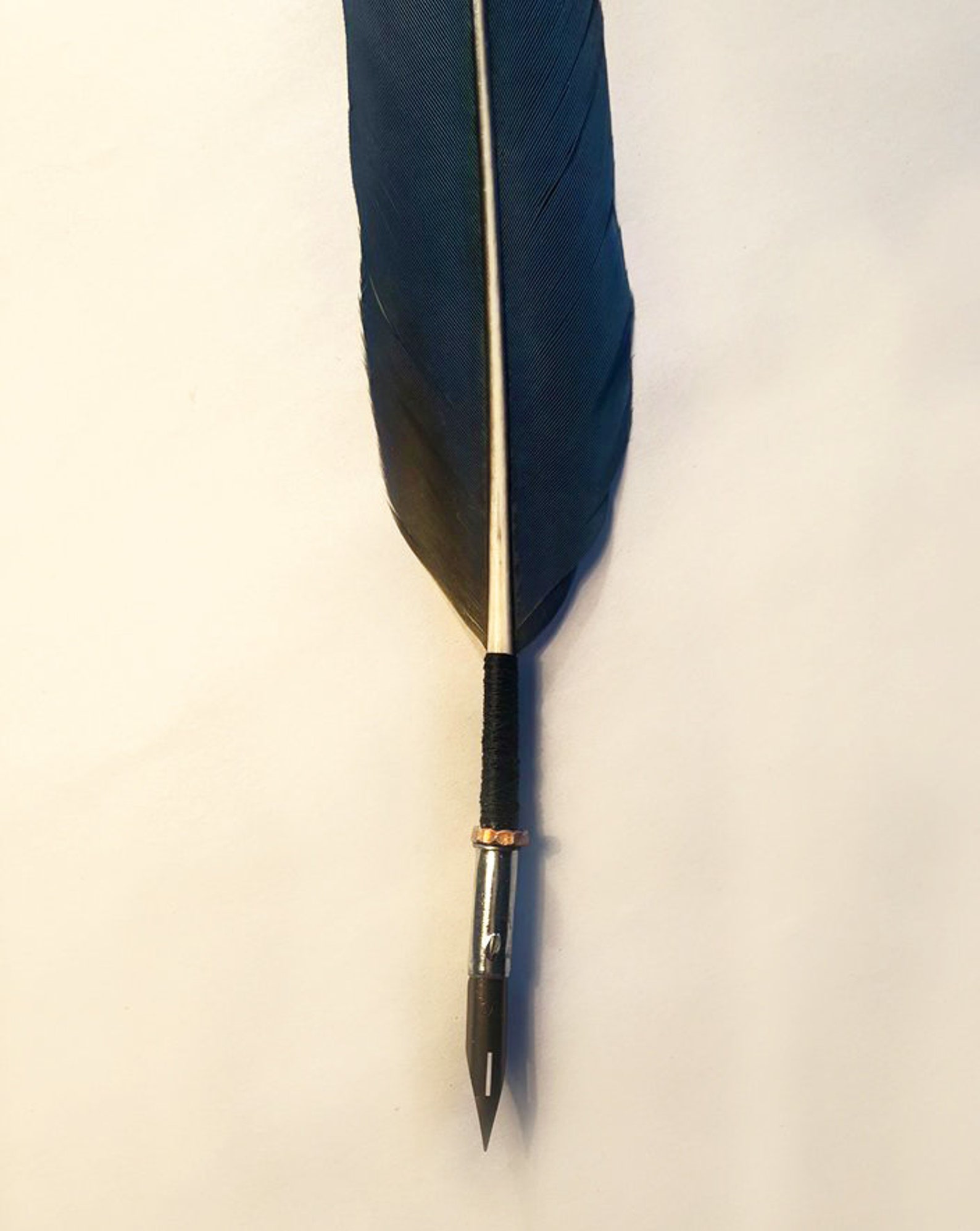 Blue and Gold Macaw Parrot Dip Pen Tail Feather Quill - Etsy