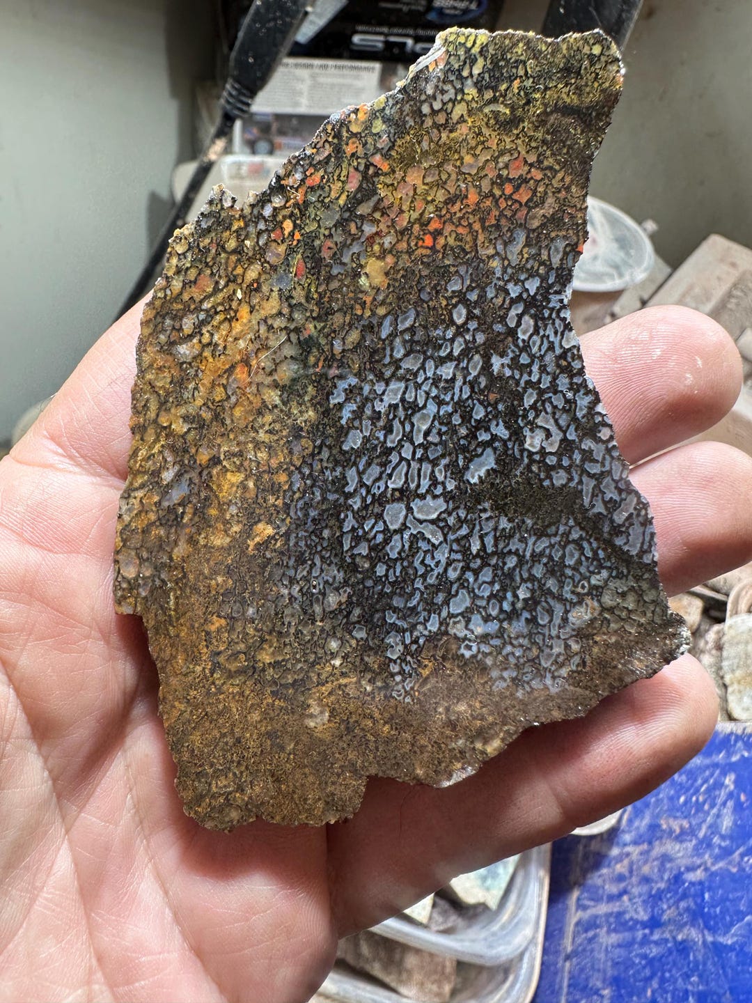 Dinosaur Gem Bone Rough Slab – Multicolor Fossilized Cell Structure ...