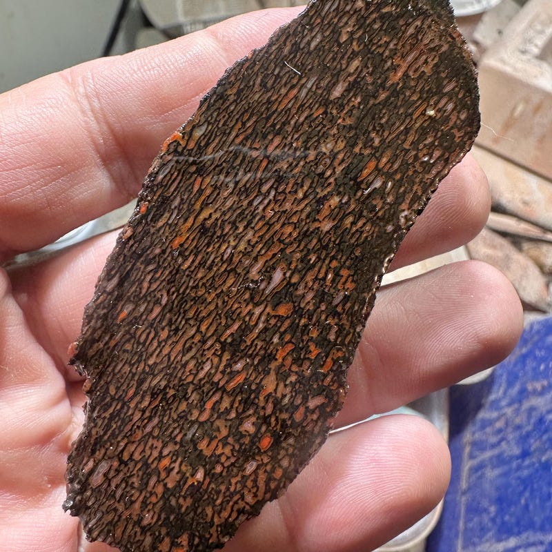 Lapidary Slab Dinosaur - Etsy