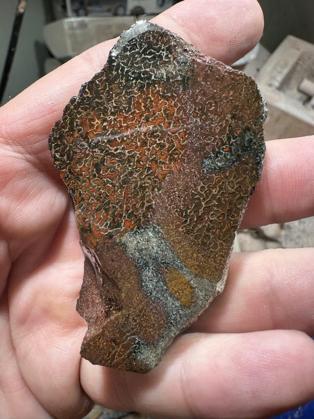 Dinosaur Gem Bone Rough Slab – Multicolor Fossilized Cell Structure ...