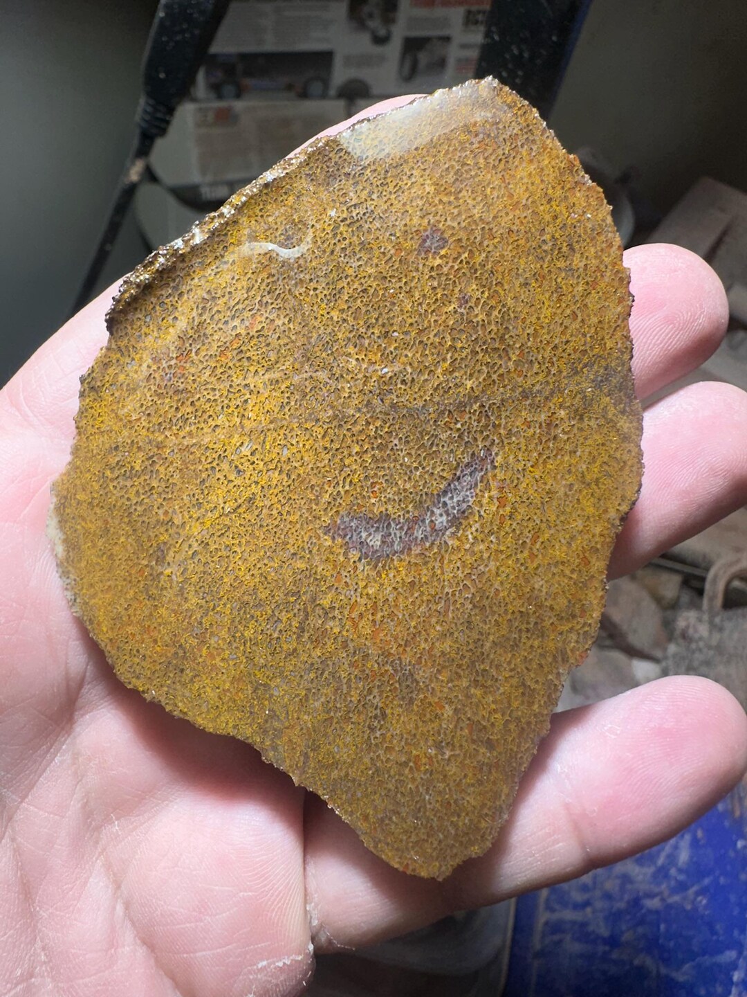 Dinosaur Gem Bone Rough Slab – Multicolor Fossilized Cell Structure ...