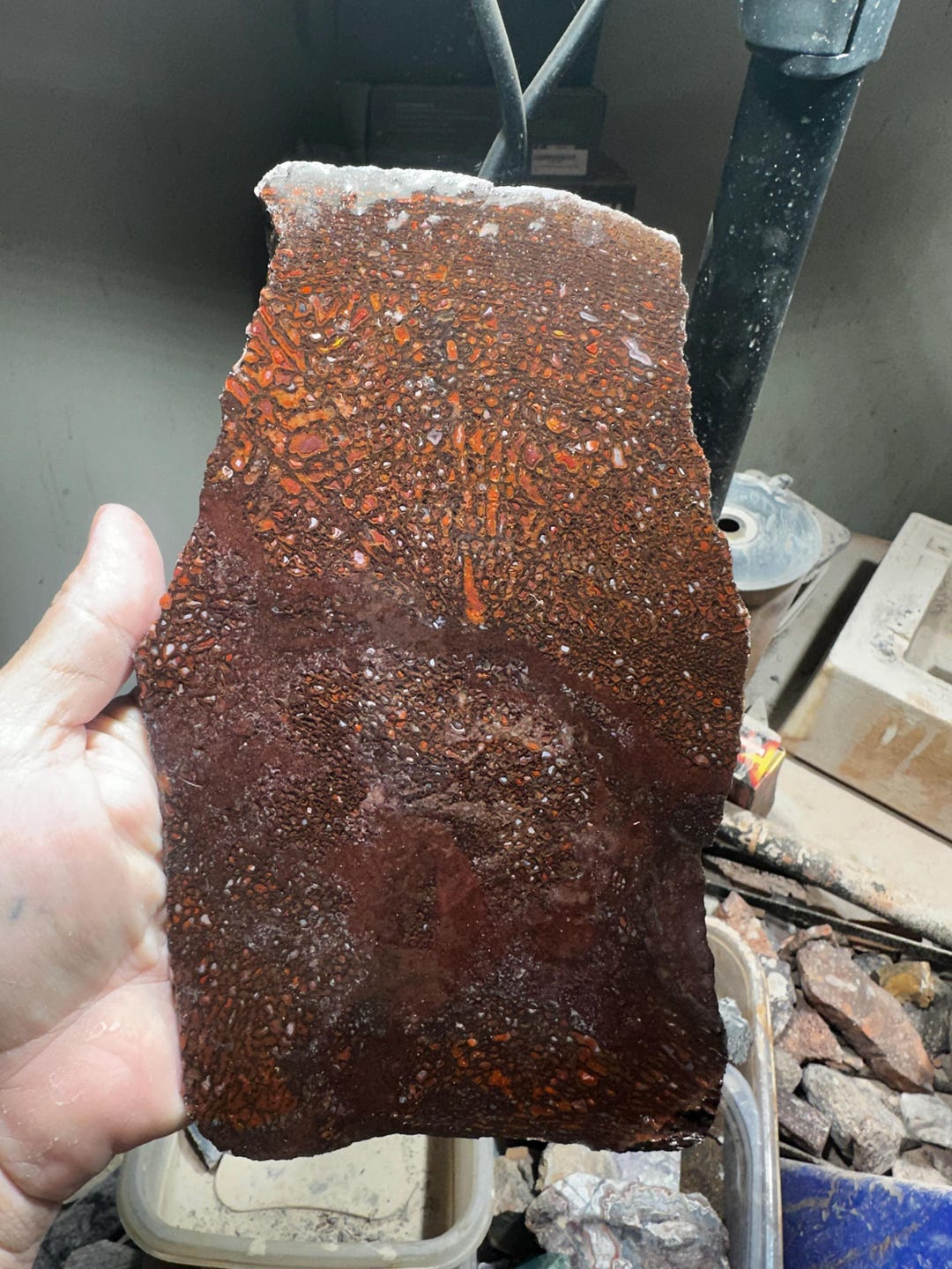 Dinosaur Gem Bone Rough LARGE Slab – Multicolor Fossilized Cell ...