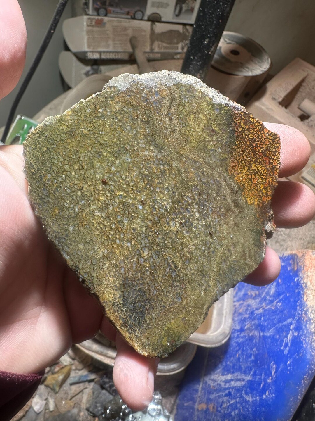 Dinosaur Gem Bone Rough Slab – Multicolor Fossilized Cell Structure ...