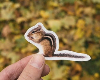 Chipmunk Decal | Etsy