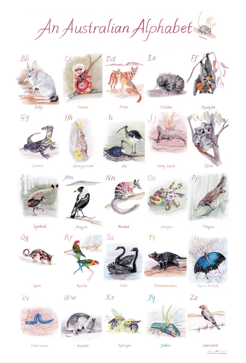 An Australian Alphabet A1 Poster - Etsy Australia
