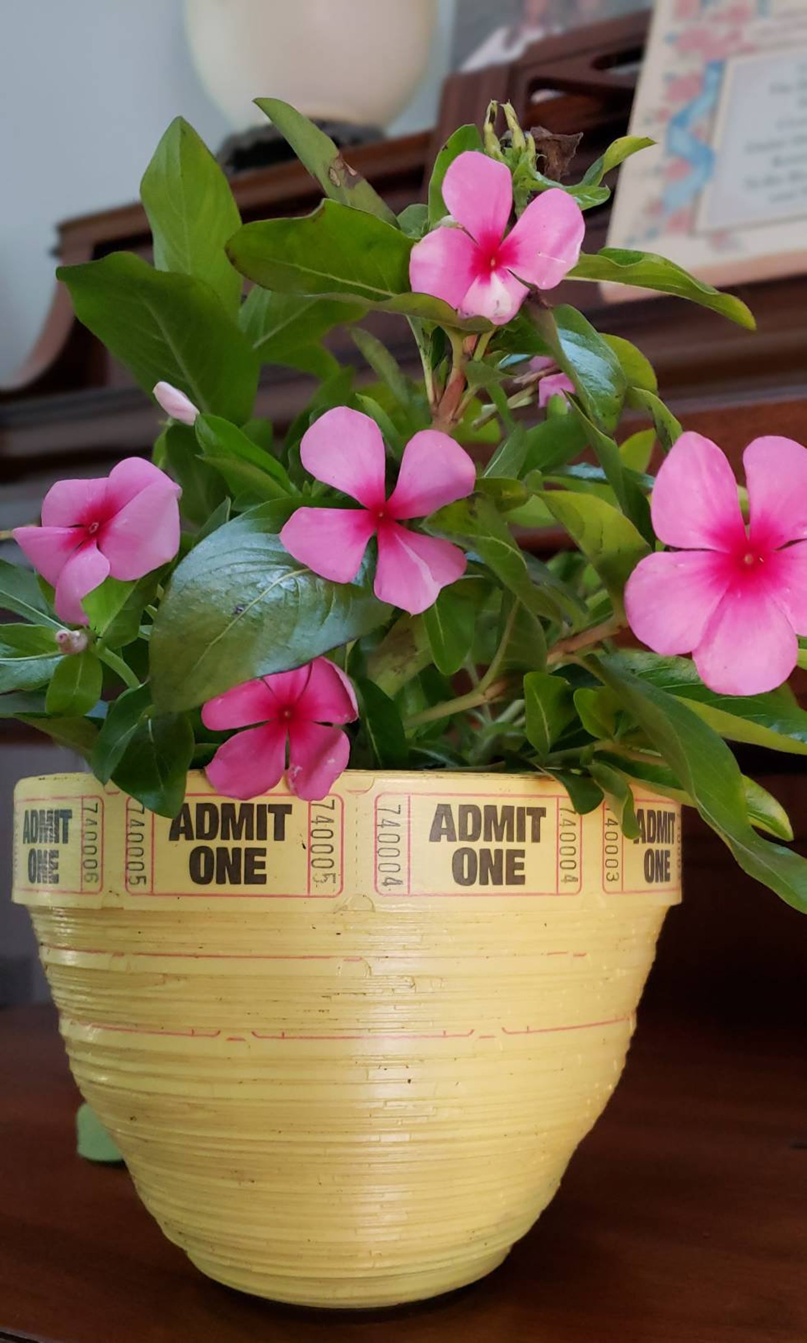 Admit One Ticket Flower Pot - Etsy