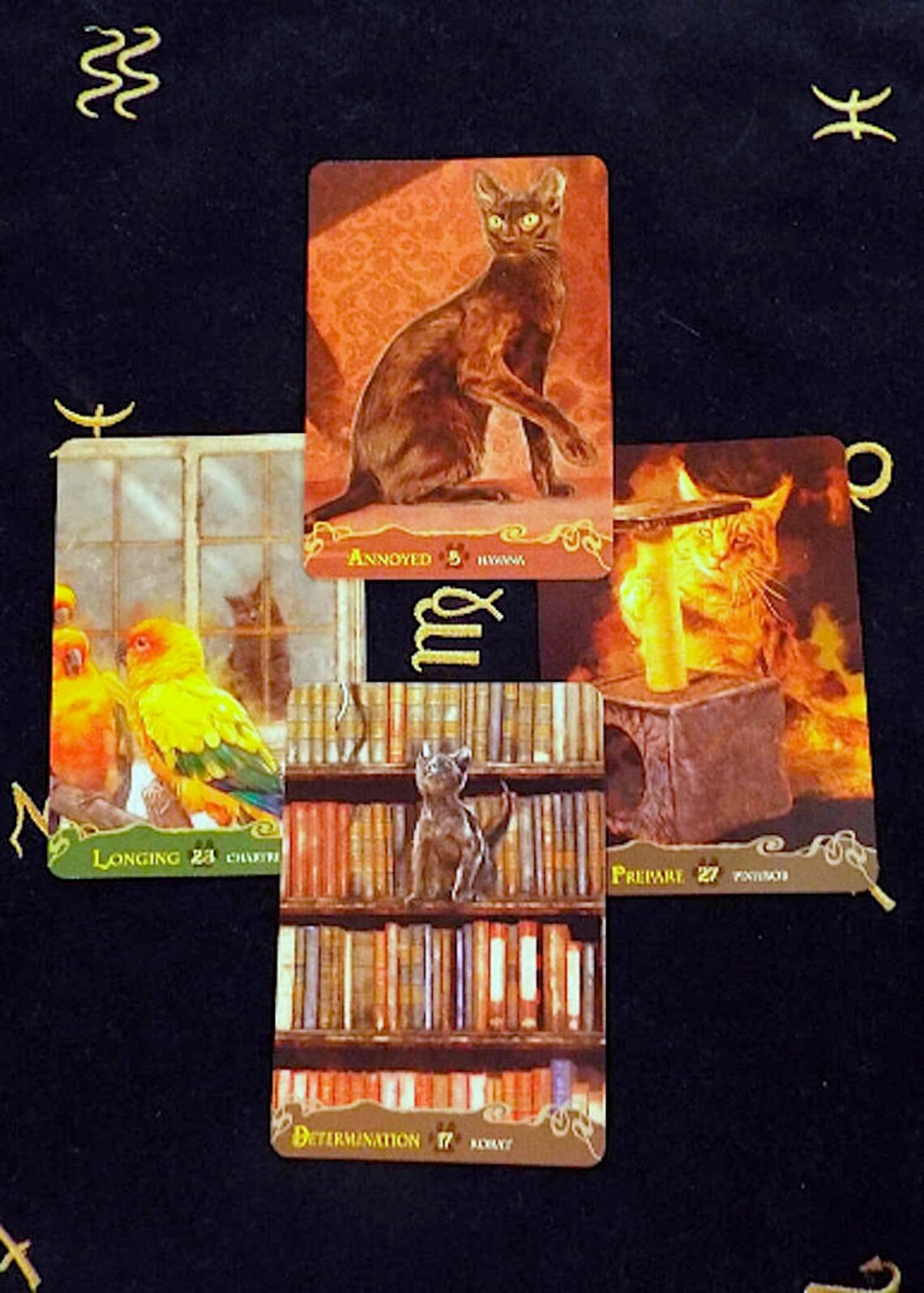 Oracle Tarot /CATS Inspirational Oracle Cards Tarot Cards,vintage ...