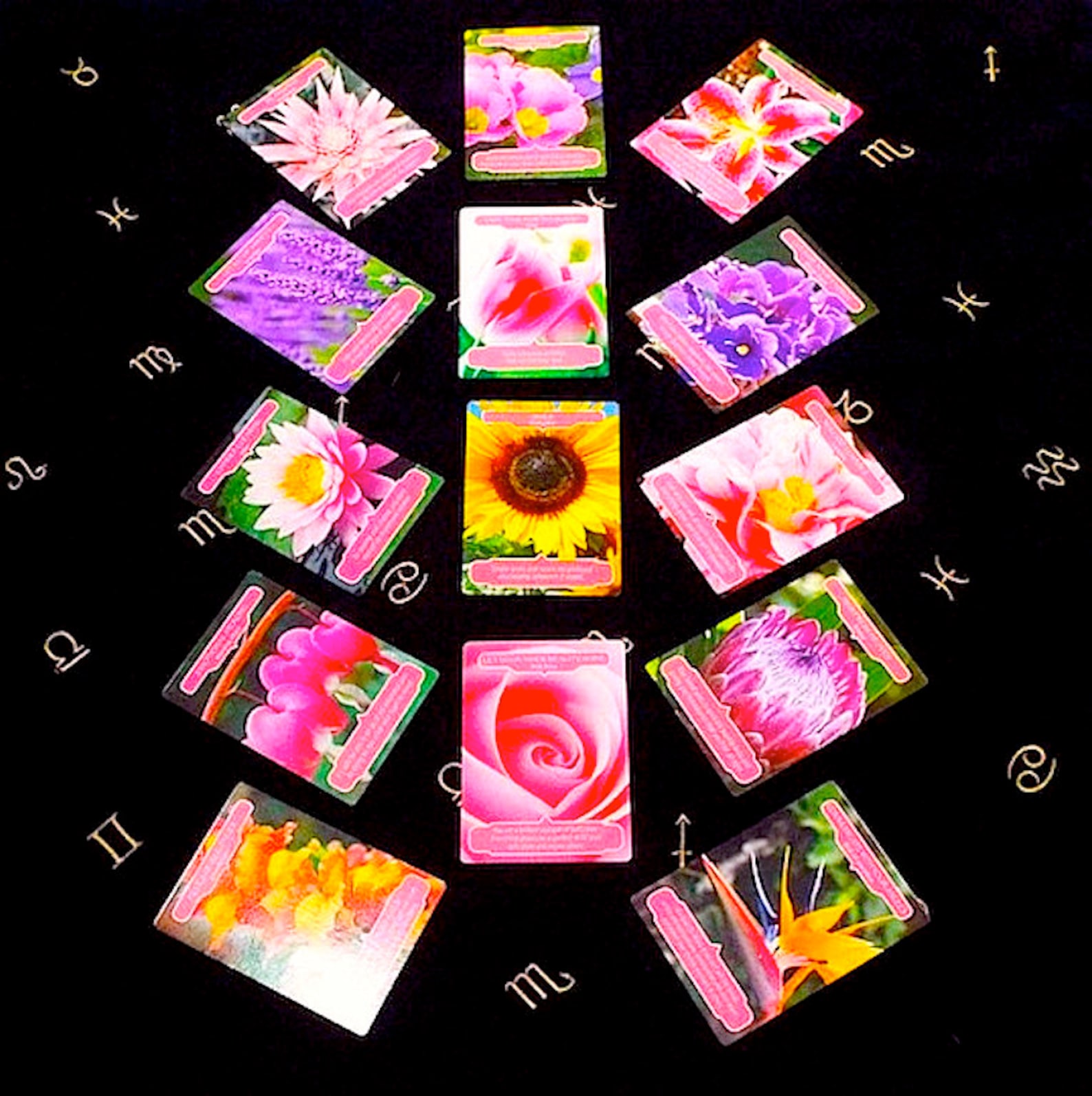 Tarot Deck /flower Therapy Oracle Cards "first Edition"!!!!!tarot Cards ...