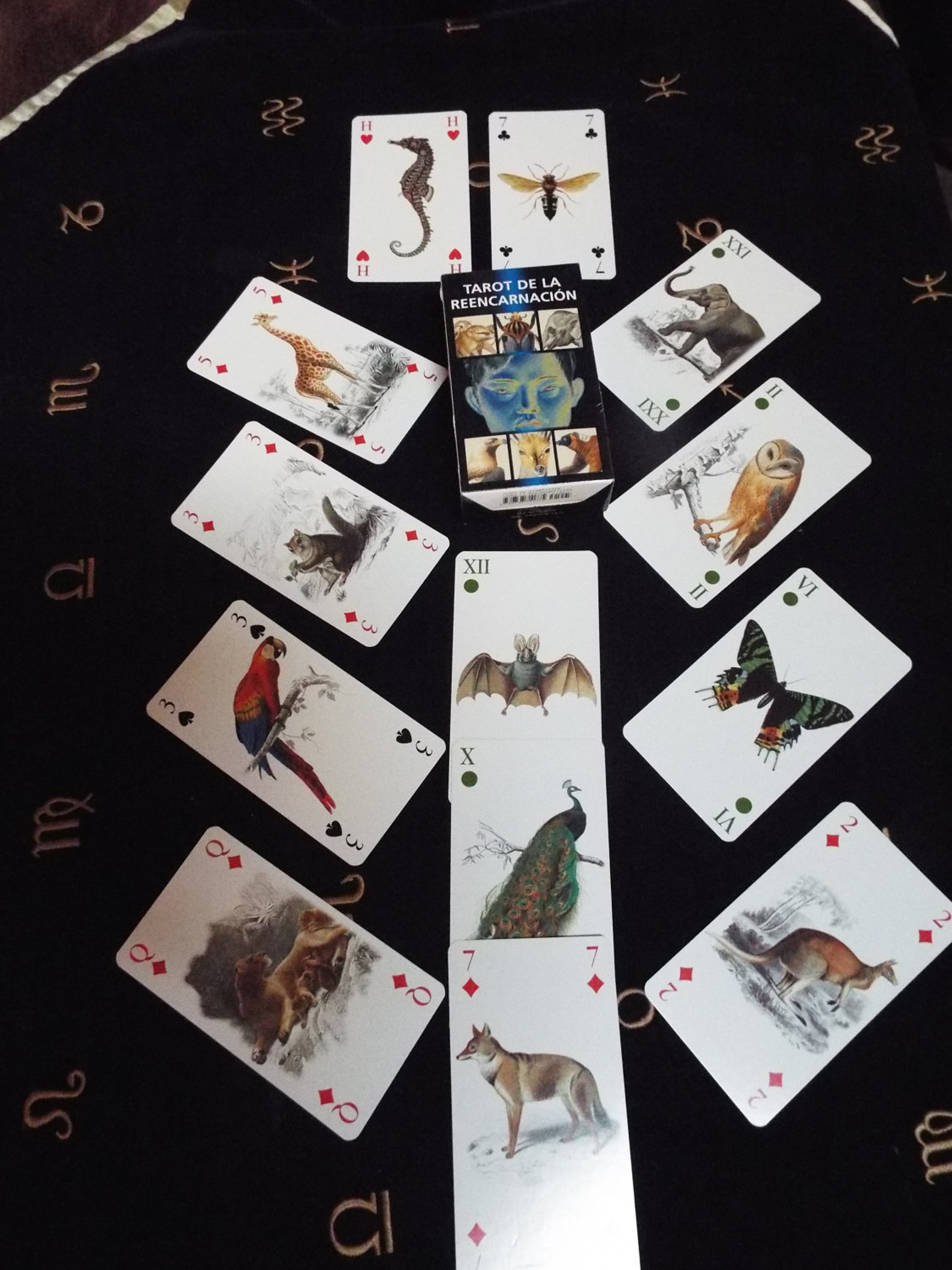 Reincarnation Tarot Card Deck,reincarnation Tarot Deck,vintage Tarot ...