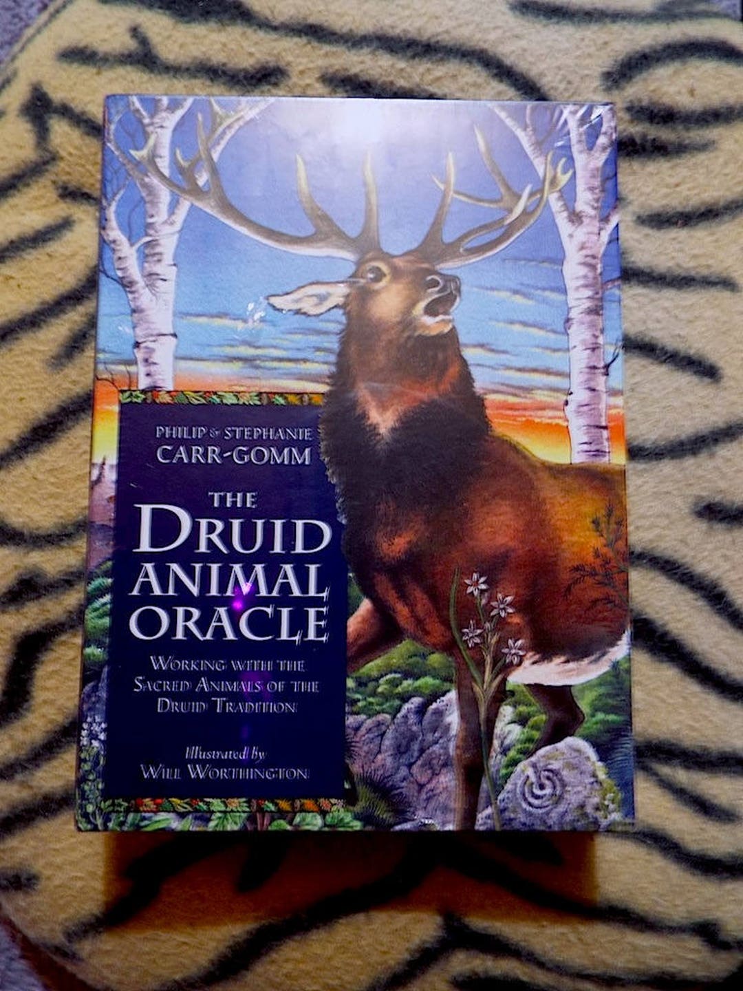 Tarot Card Deck, Druid Animal Oracle, Vintage Tarot Deck, First Edition ...