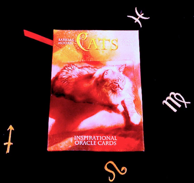Oracle Tarot /CATS Inspirational Oracle Cards Tarot Cards,vintage ...