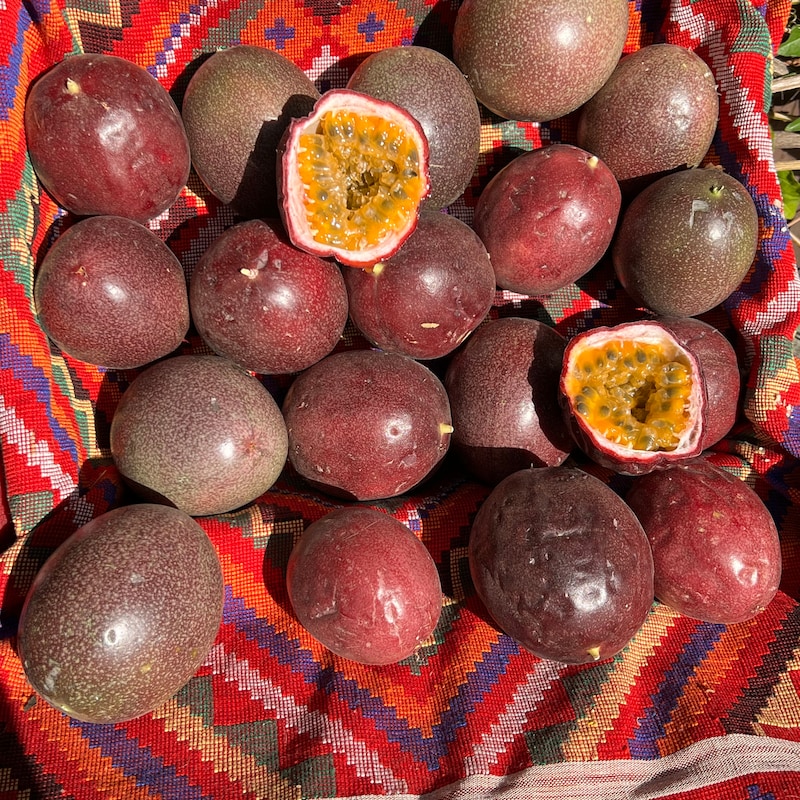 Fresh Fruit Passion Fruit - Etsy