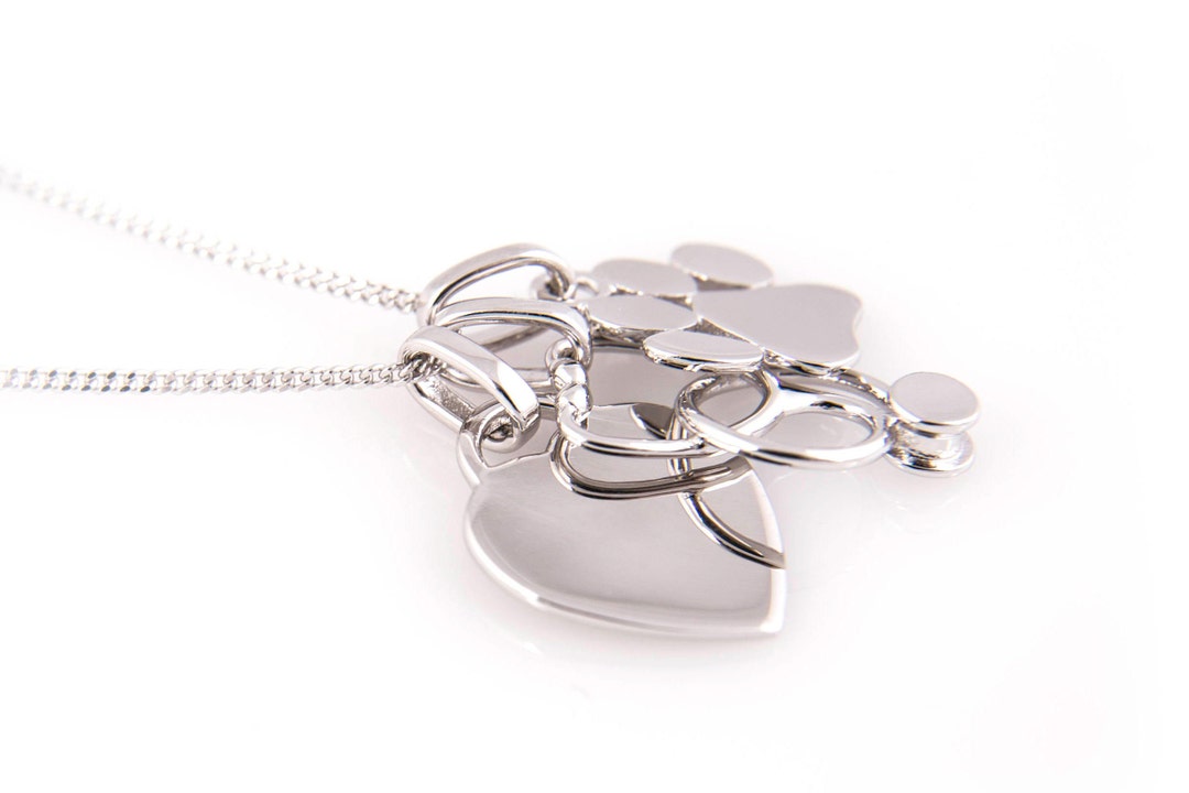 Vet Necklace - Sterling Silver - Vet Gift, Vet Grad, Vet Tech ...
