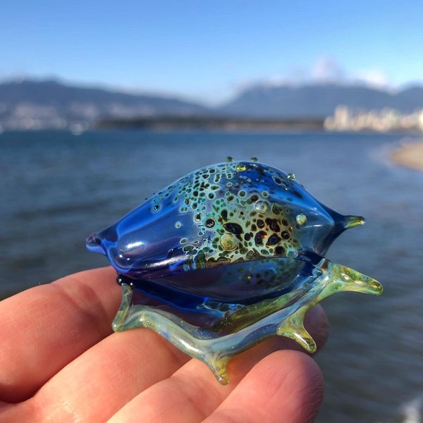 Glass Seashell - Etsy