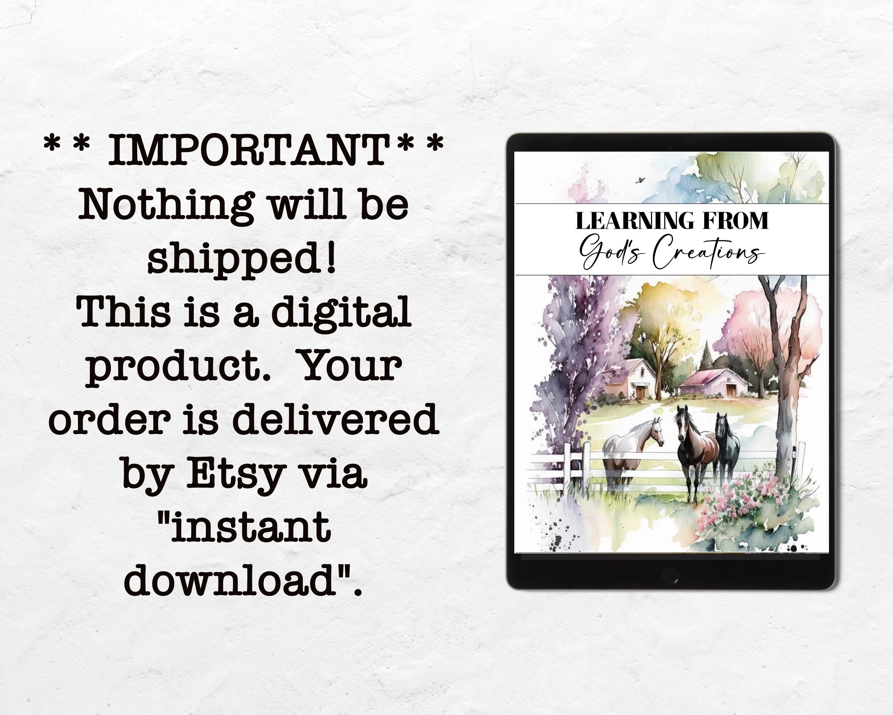 Set JW Study Animals Characters Jesus Illustrations Journal - Etsy