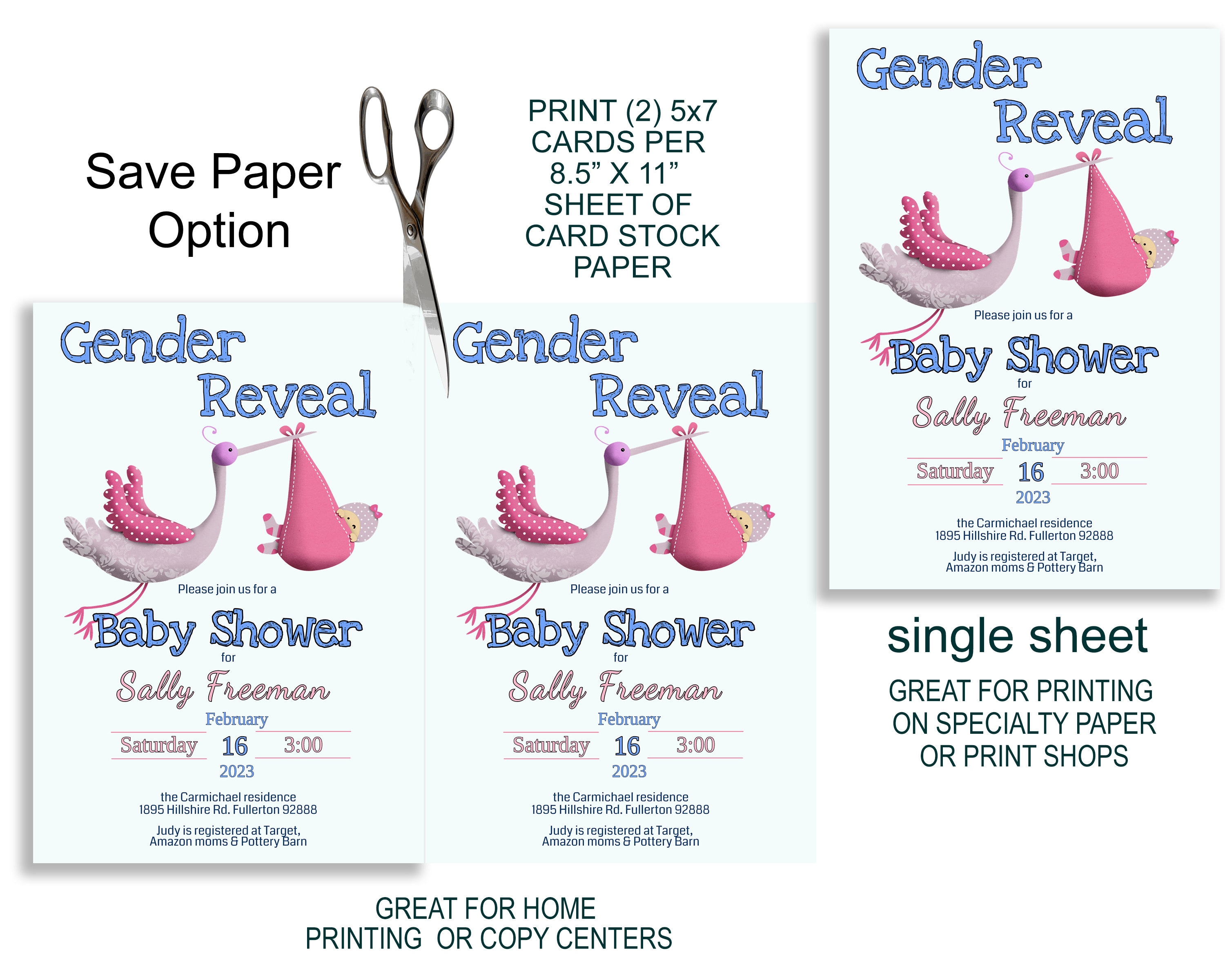 Editable GENDER REVEAL Baby Shower Invite, Stork Delivering Baby ...