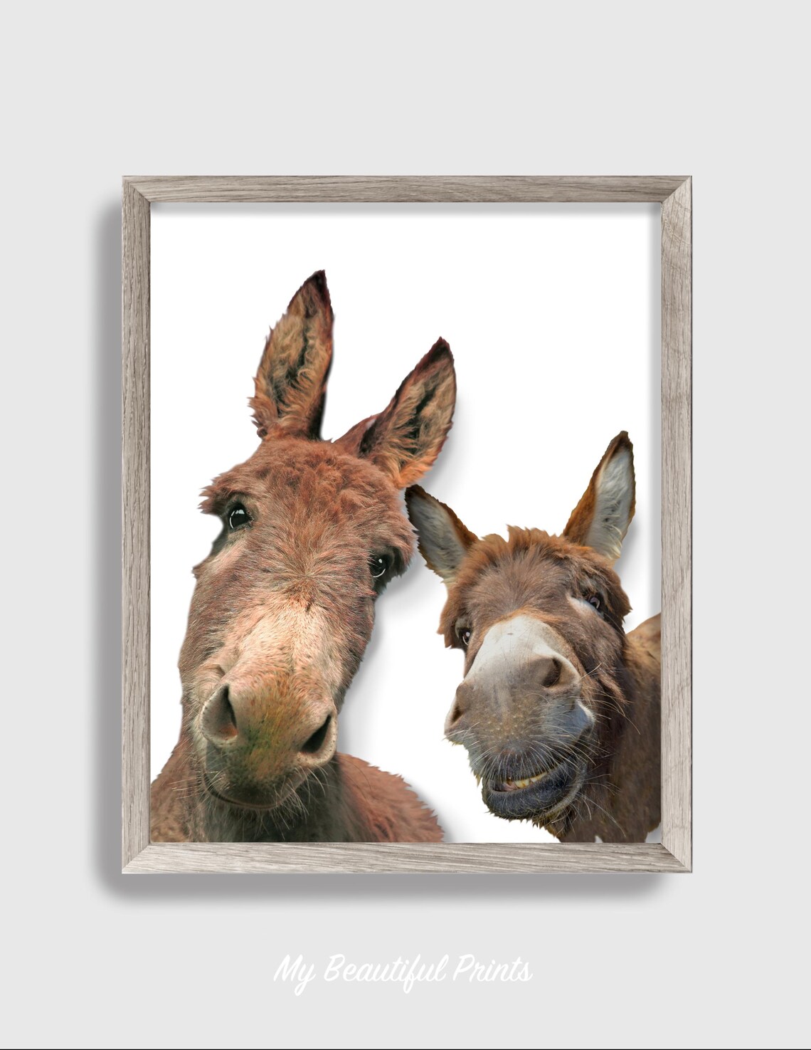 Funny Donkey Print, Quirky Burro Farm Animal Wall Art - Etsy