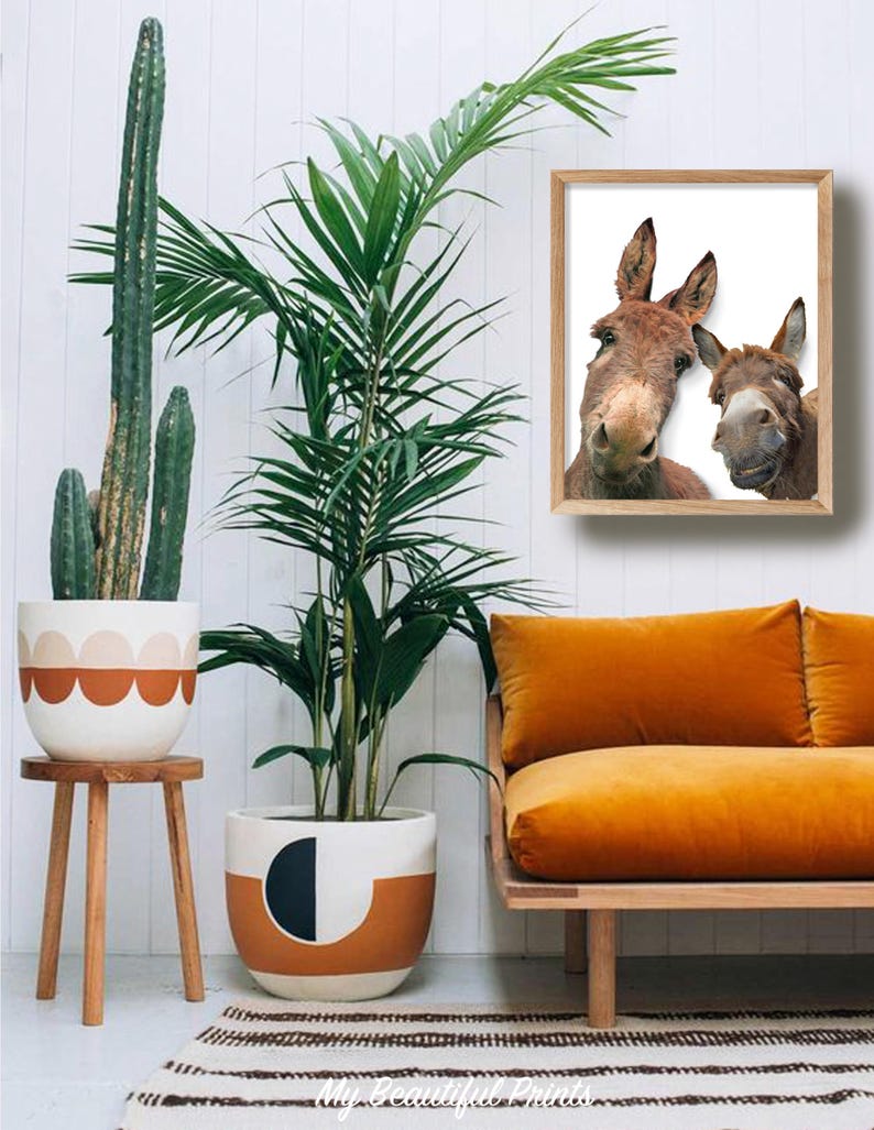Funny Donkey Print, Quirky Burro Farm Animal Wall Art - Etsy