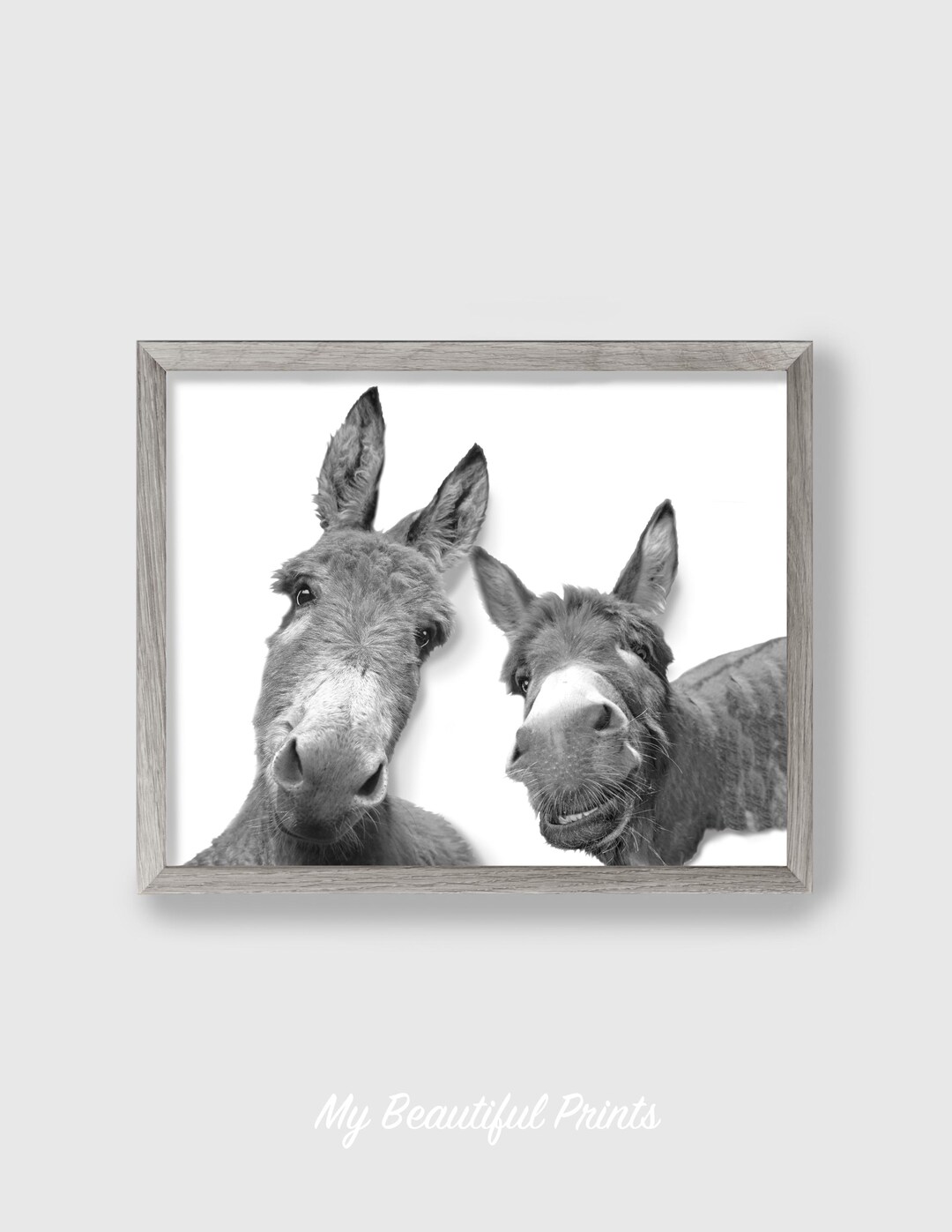 Donkey Print, Humorous Country Burro Wall Art, Funny Farm Animal ...