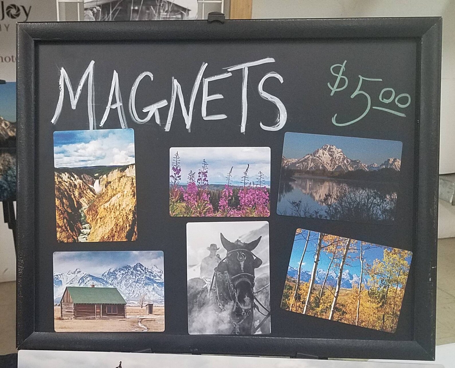 Pontoon Boat Refrigerator Magnets, Lake House Decor Gifts, Wyoming ...