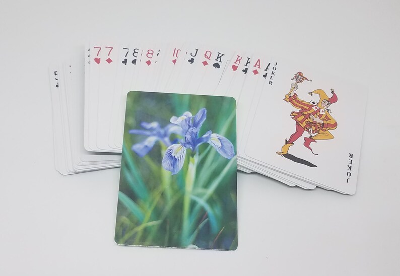Wild Iris Flower Poker Playing Card Deck, Floral Solitaire Gambling ...