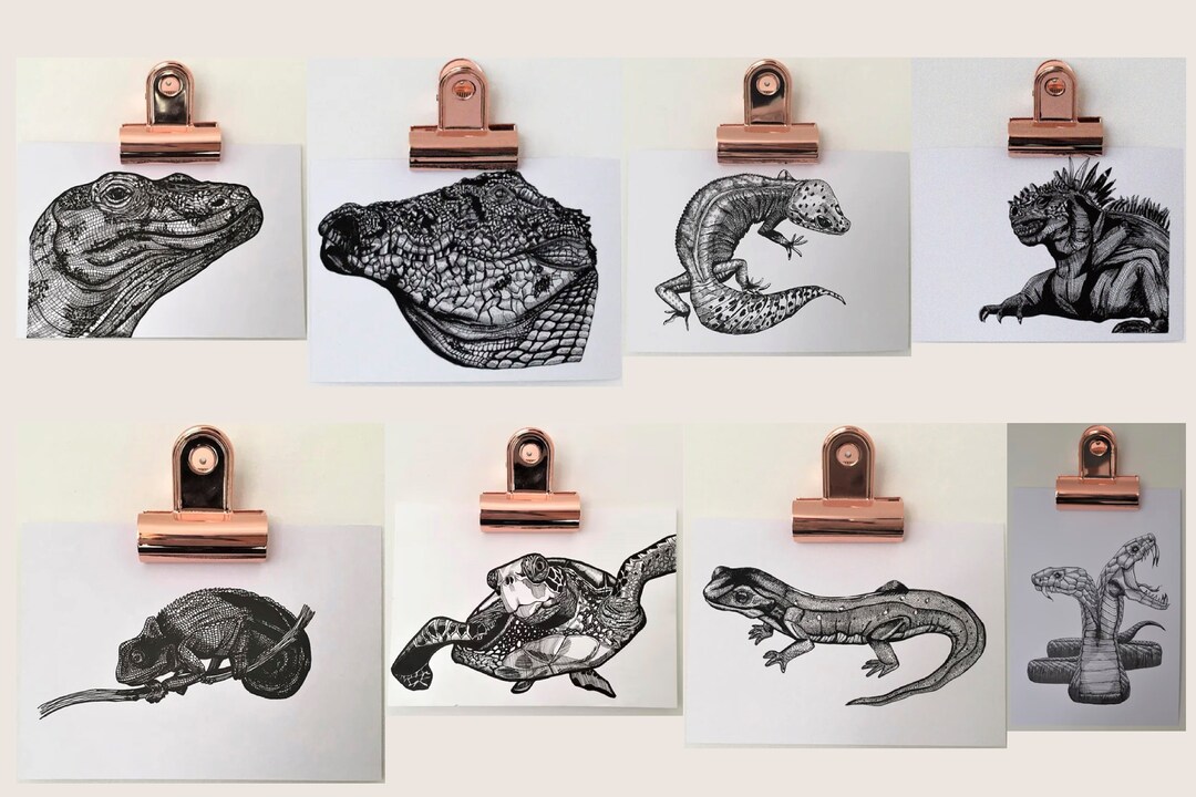 Reptile Pen and Ink Illustration Gifts, Croc, Chameleon, Komodo Dragon ...
