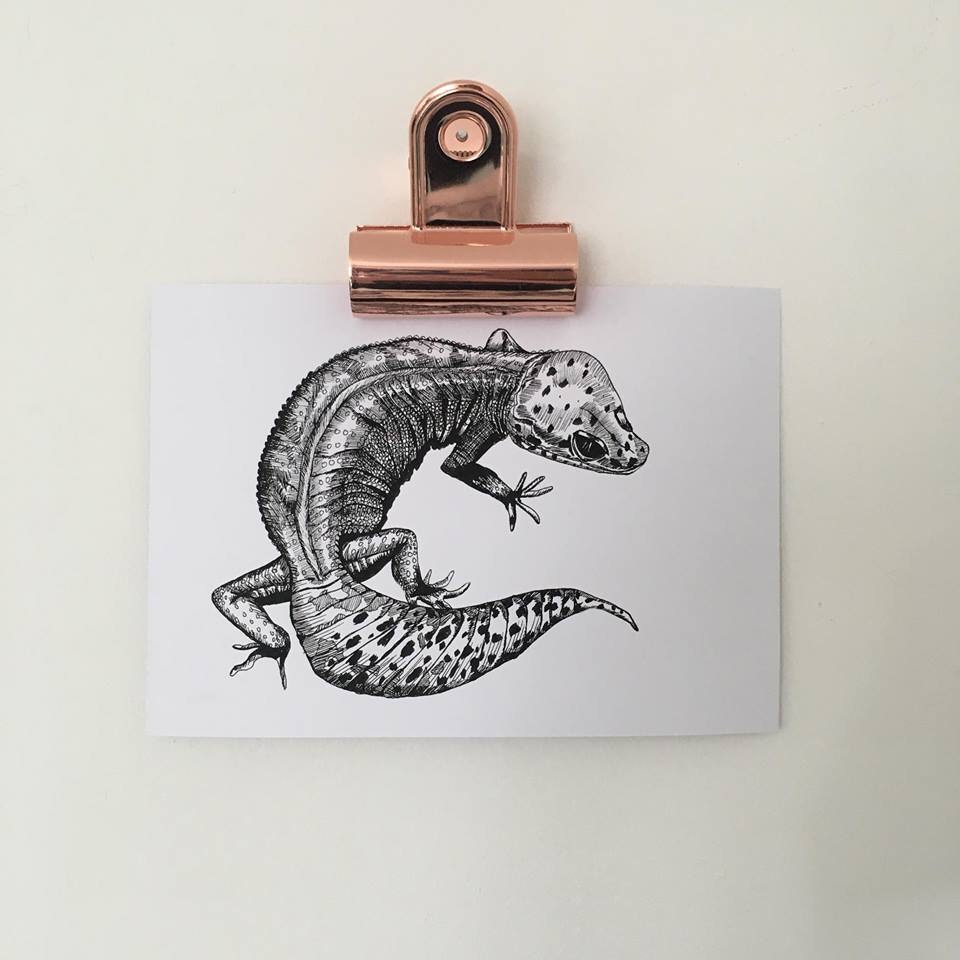Reptile Pen and Ink Illustration Gifts, Croc, Chameleon, Komodo Dragon ...