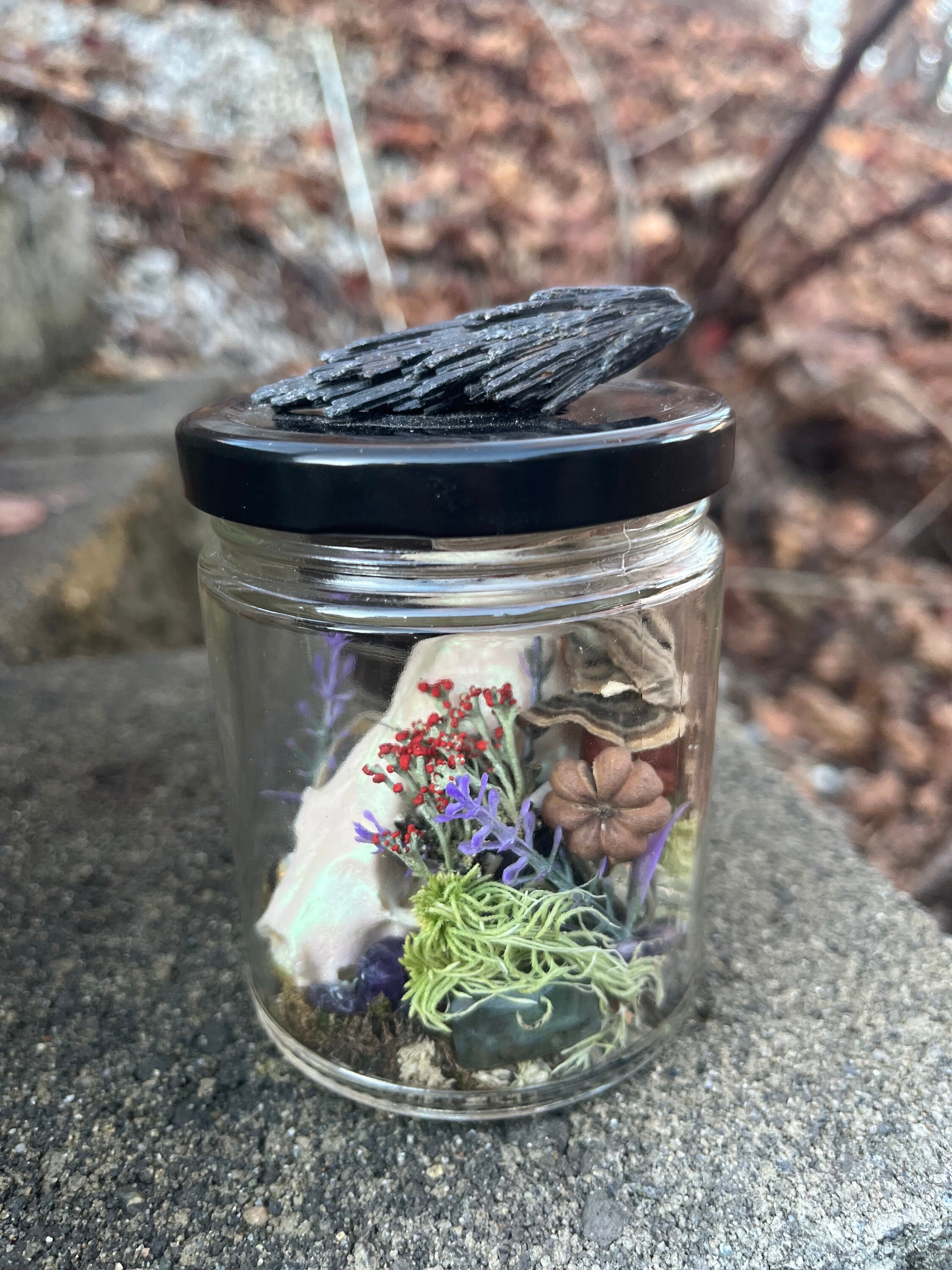 Bone Glass Jar Terrarium With Mink Skull / Altar Tools / Oddity ...