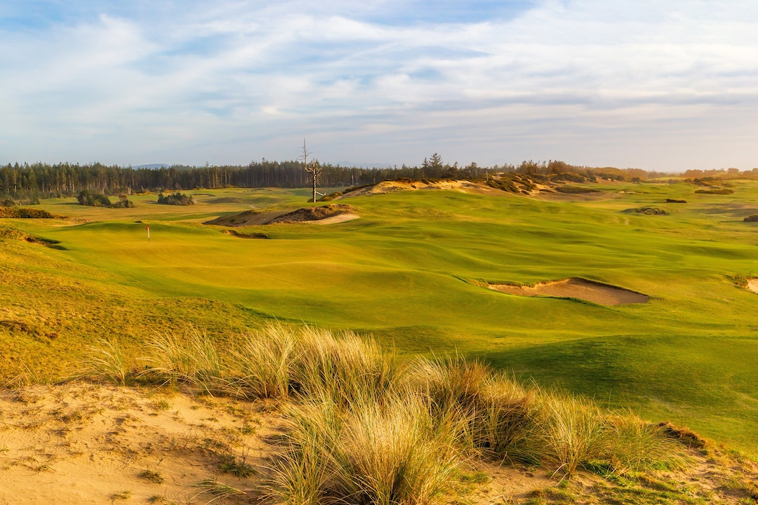 Old Macdonald Golf Course, Hole #14 V4 - Fine Art Golf Prints - Etsy