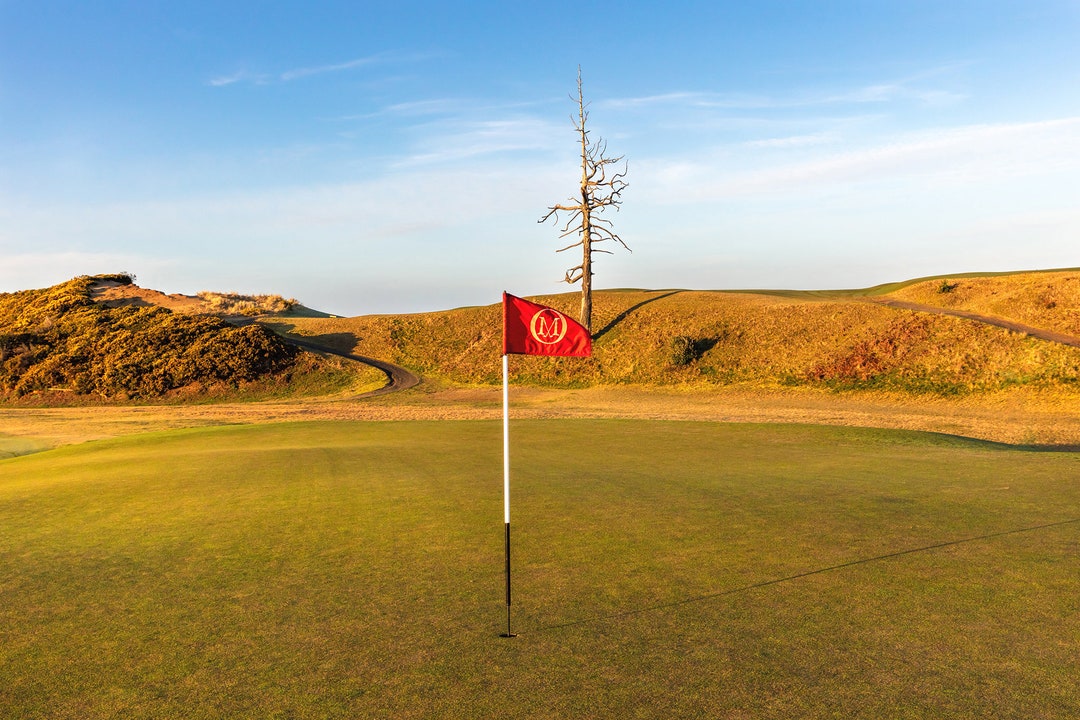 Old Macdonald Golf Course, Hole #2 With Ghost Tree - Fine Art Golf ...