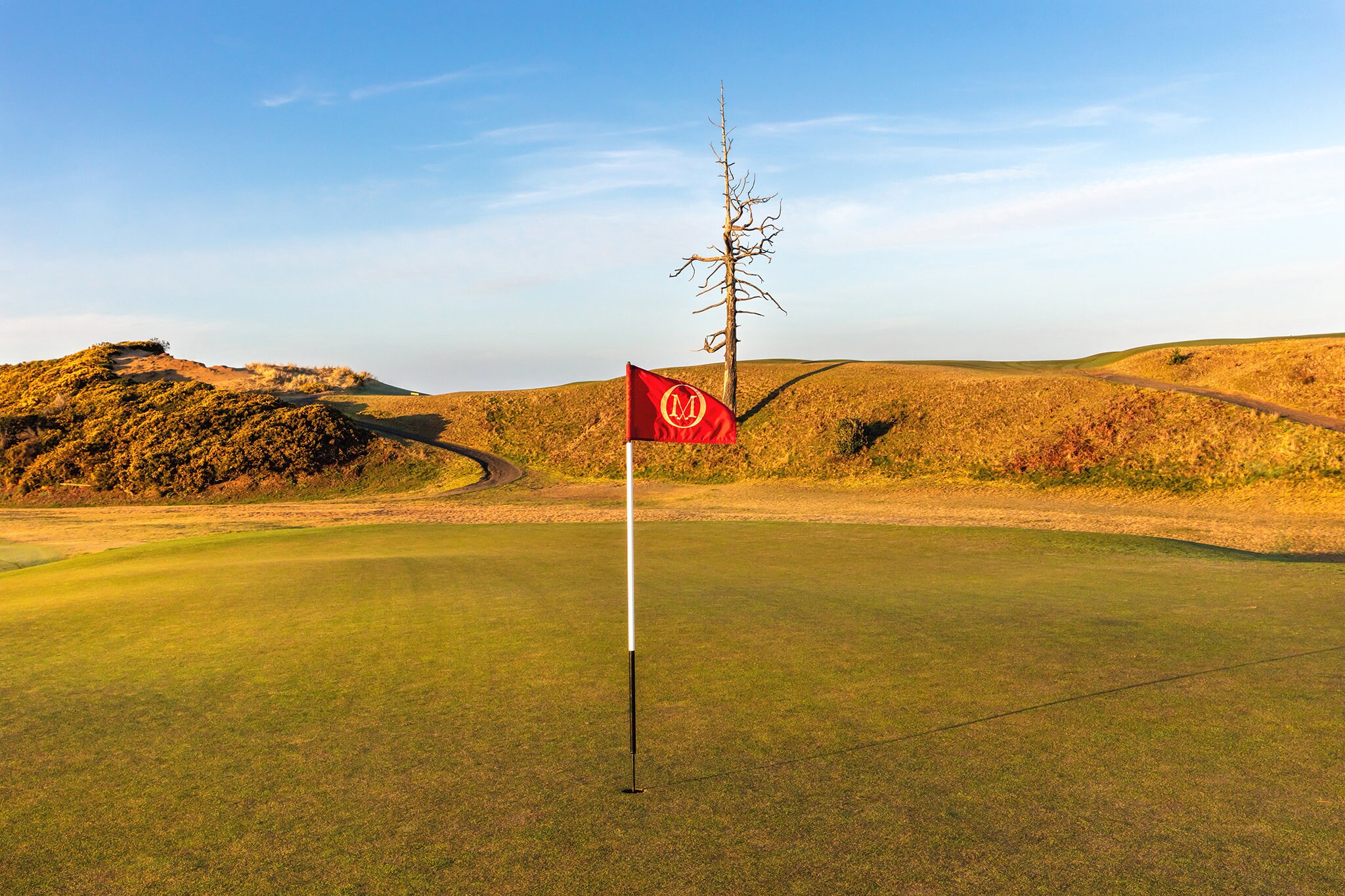 Old Macdonald Golf Course, Hole #2 With Ghost Tree - Fine Art Golf ...