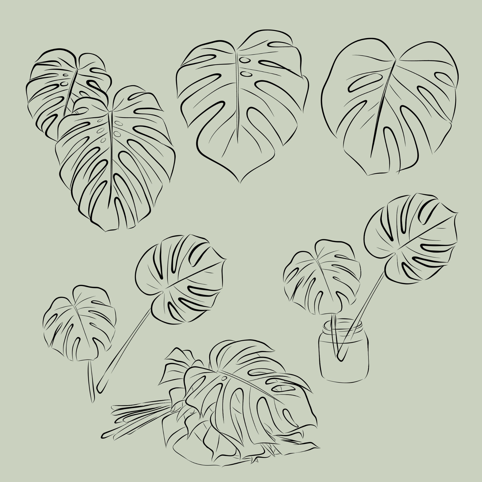 Downloadable Monstera Clip Art Bundle Monstera Cut File - Etsy