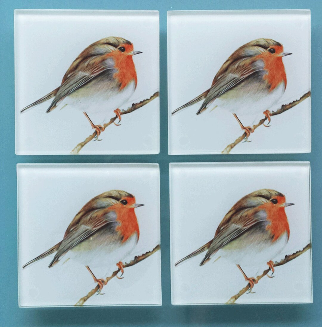 Set of 4 Red Robin Glass Coasters, Robin Illustration, Christmas Robin ...
